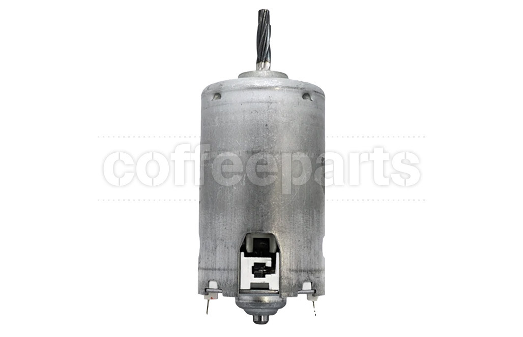 230v Motor