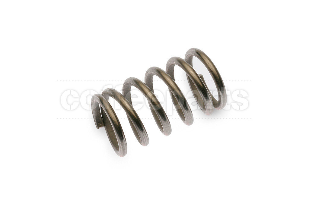 Expansion Valve Spring - LM Original | Coffee Parts